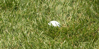 How to Properly Search For Your Golf Ball | From the Tips by Golf Galaxy