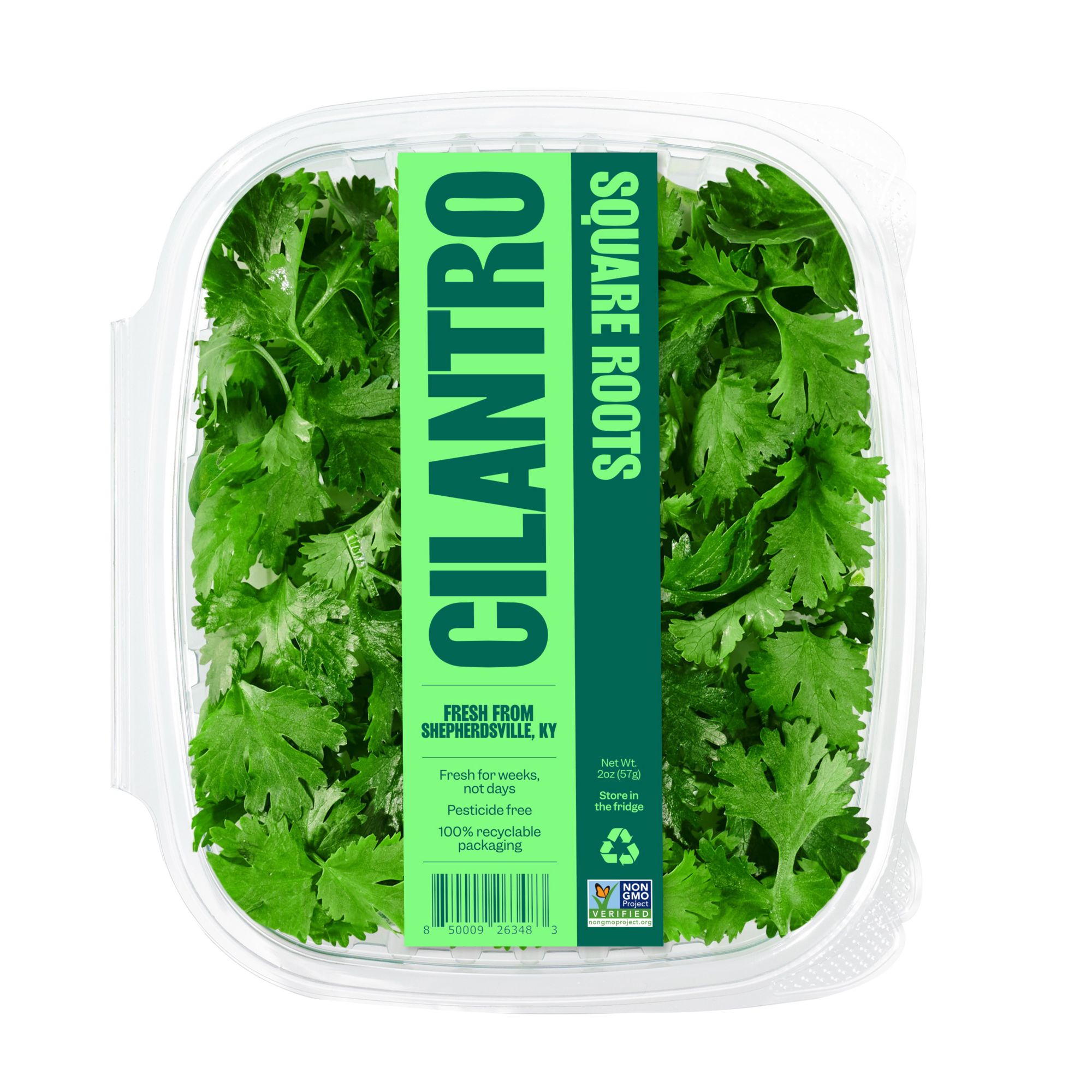 Square Roots Fresh Cilantro, 2 oz. | BJ's Wholesale Club